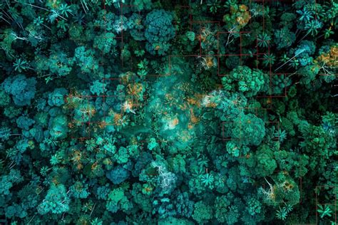 Premium Photo Visualize Ai Algorithms Analyzing Satellite Imager Generative Ai