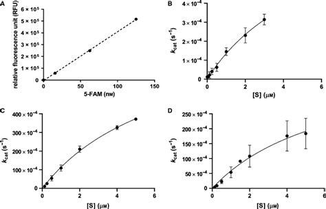 The Steady‐state Kinetics Of Tev Proteases A The 5‐fam Standard Download Scientific Diagram