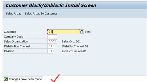 Customer Block Unblock Sapcodes