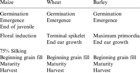 Growth Stages Simulated By The Dssat Ceres Maize Wheat And Barley Models Download Scientific