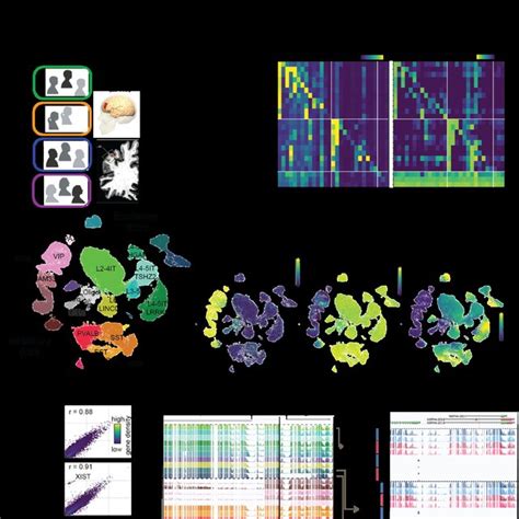Single Nucleus Multiomic Analysis Of Inter Individual Download Scientific Diagram