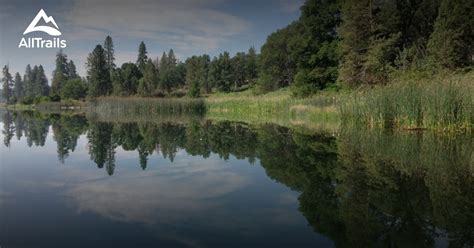 Best Trails Near Cassel California Alltrails