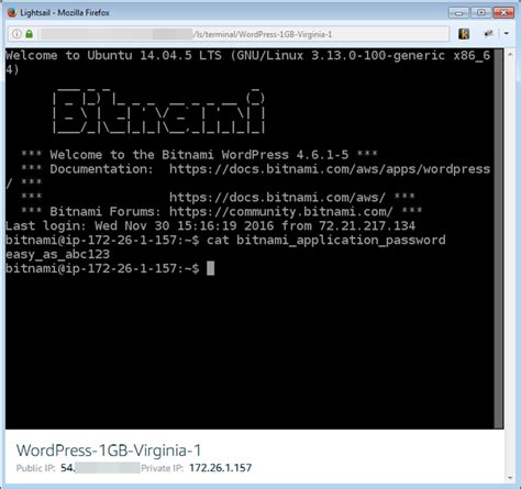 amazon lightsail 간편한 가상 사설 호스팅 vps 서비스 amazon web services 한국 블로그