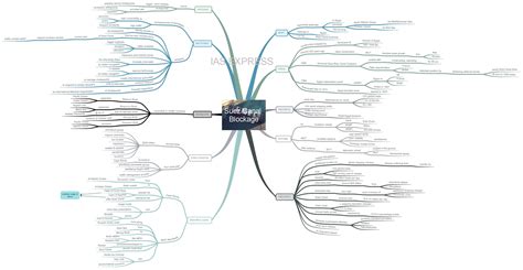 Suez Canal Significance Challenges And Way Ahead Upsc Ias Express