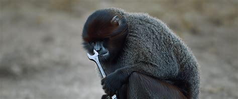 Extending Native Js Prototypes Is Not Such A Crazy Idea With Symbols Dev Community