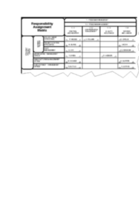 SOLUTION Responsibility Assignment Matrix Studypool
