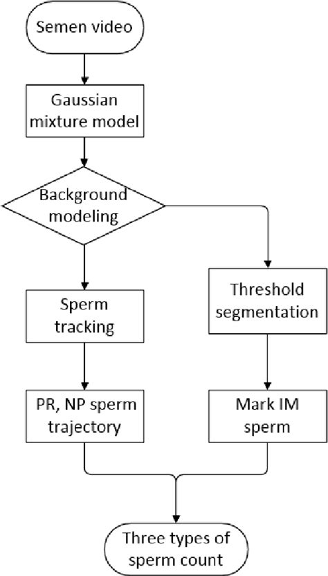 Figure 3 From A Sperm Cell Tracking Recognition And Classification Method Semantic Scholar
