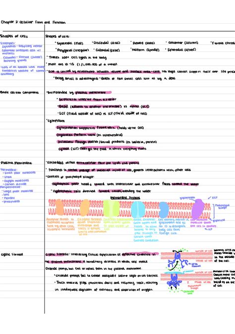 Anatomy And Physiology The Study Of Form And Function Chapter Cellular Form And Function