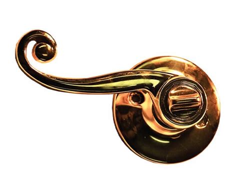 LEVER HANDLE PRIVACY LOCK CS Brown Company Inc