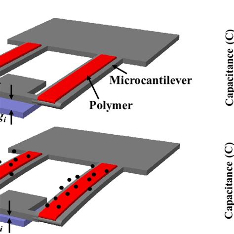1 Operation Of A Reference Polymer Based Capacitive Microcantilever