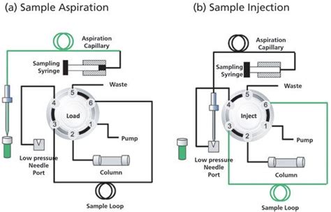 Hplc Sample Loop