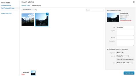 Adding And Managing WordPress Images
