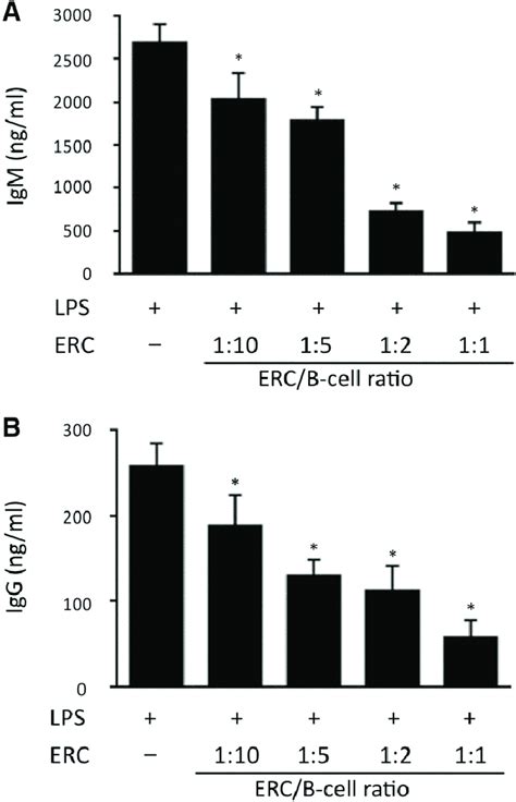 Ercs Mediate Inhibition Of Igm And Igg Production Pure Balb C Cd19 B Download Scientific