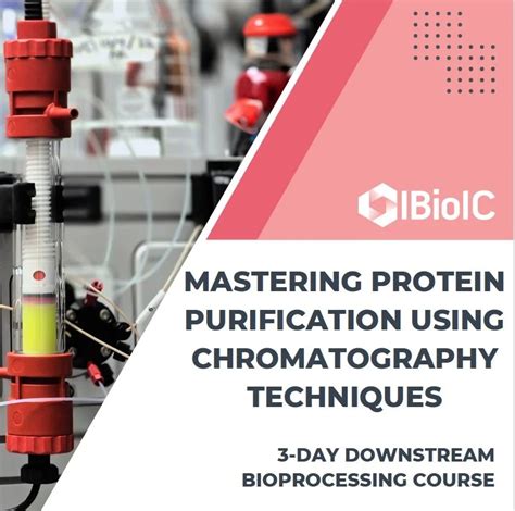 Mastering Protein Purification Using Chromatography Techniques — Ibioic