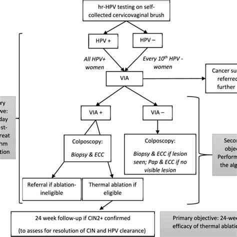screen triage treat algorithm download scientific diagram