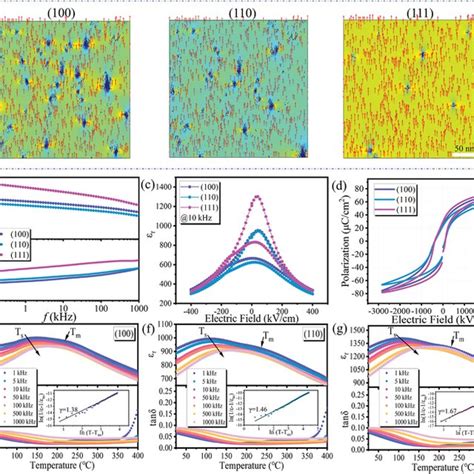 A Schematic Diagram Of Polarization Orientation Of Local Regions Of Download Scientific