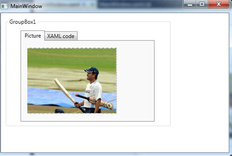 Groupbox Control Wpf In Vbnet