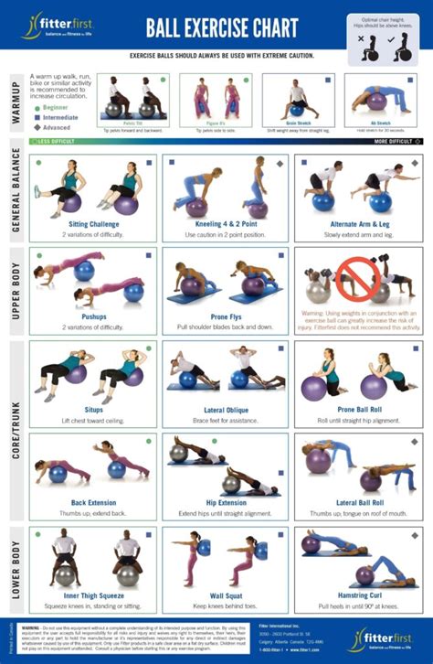 Ball Exercise Diagram Ygraph