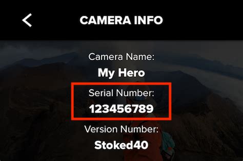 How To Check Gopro Serial Number All Models