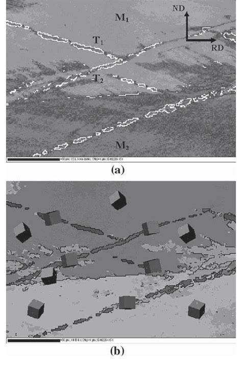 Typical Microstructure Of An Industrial Fe3 Pct Si Alloy After Cold Download Scientific Diagram