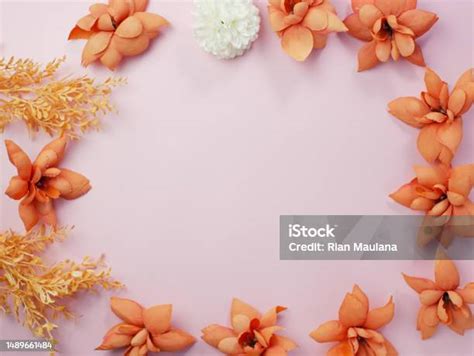 꽃 구성 파스텔 핑크 배경에 오렌지 드라이 플라워로 만든 프레임 플랫 레이 평면도 복사 공간 0명에 대한 스톡 사진 및 기타 이미지 Istock