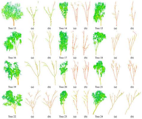 Remote Sensing Special Issue Applications Of Individual Tree Detection Itd