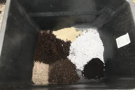 How To Start Seedlings In Soil Blocks And Why Its The Best Way To Start