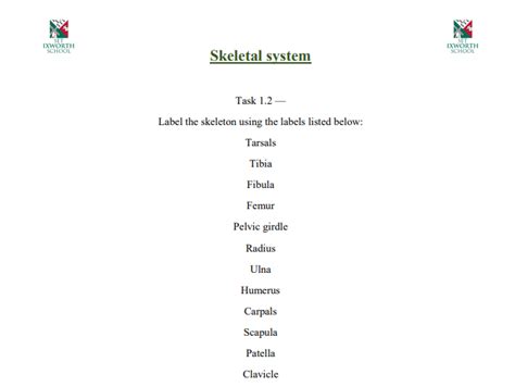 Practical Pe Work Booklet Teaching Resources Practical Pe Work Booklet Teaching Resources