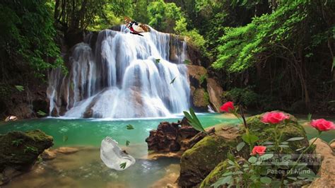 Sonido De Un Río Relajante Soothing River Sound Natural Sounds Fm