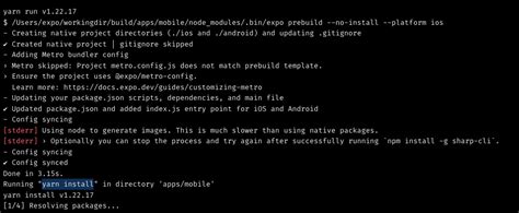 Expo Prebuild Tries To Install Dependencies Even Though No Install Flag Was Provided · Issue