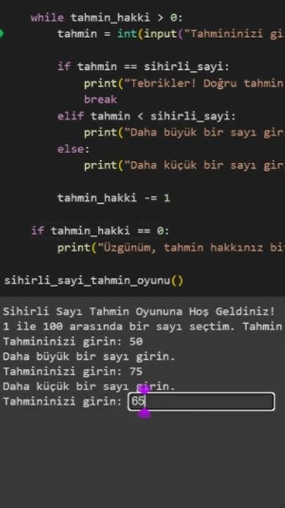 python ile muhteşem sayı tahmini oyunu 🎮🔍 youtube
