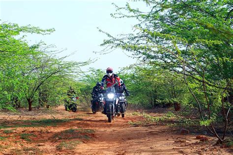 Gallery Adventure Basics