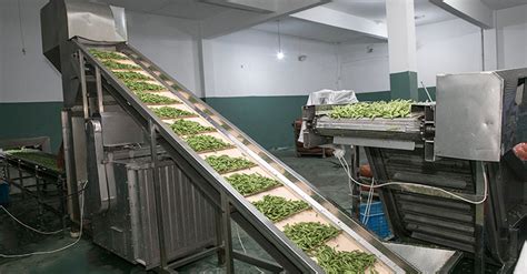 Raw Material Processing
