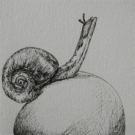 A Drawing Of An Apple With A Snail On It S Back And The Stem Sticking Out