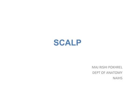 Scalp Anatomy Layers And Applied Aspects Pptx