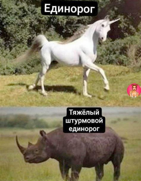 Анонимный Чат Анонимный чат Знакомства ВКонтакте