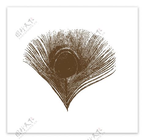 卡通手绘鸟简笔画图片素材 编号31897144 图行天下