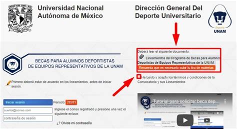 Cuáles Son Los Requisitos Para Obtener Una Beca Deportiva En La Unam