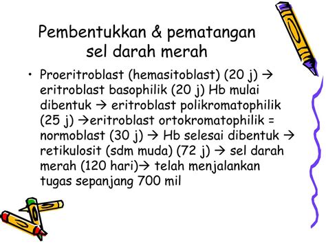 Darah And Sistem Sirkulasi Ppt Download