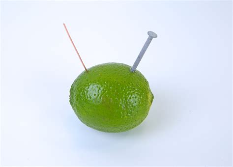 How To Make A Lemon Battery And A Lime Light Babble Dabble Do