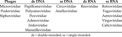 Viral Communities Identified In The Mammalian Gut Download Scientific Diagram