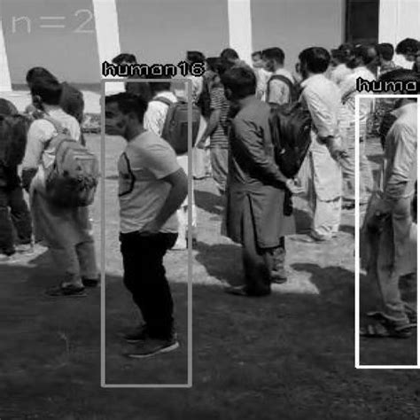 Face And Person Object Detection Dataset By Detecting Person Exampl