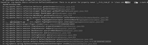Caused By Orgapacheibatisreflectionreflectionexception There Is