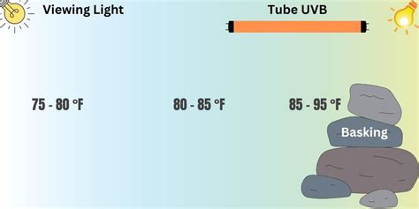 How To Set Up A Turtle Tank The Beginner S Guide In Steps Aquatic Pet Lab