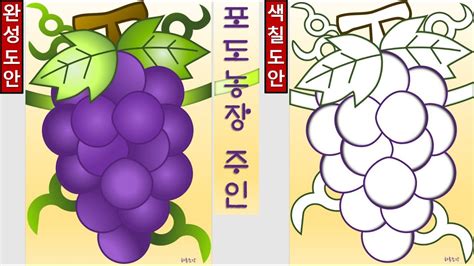 포도농장 주인 하루조각 포도 무료도안 Youtube