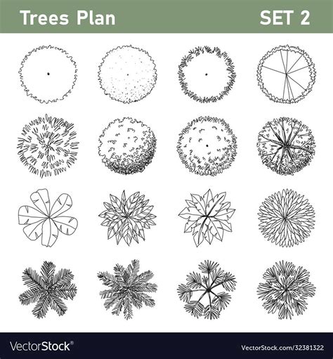 Large Trees Cad Blocks In Plan And Elevation Artofit