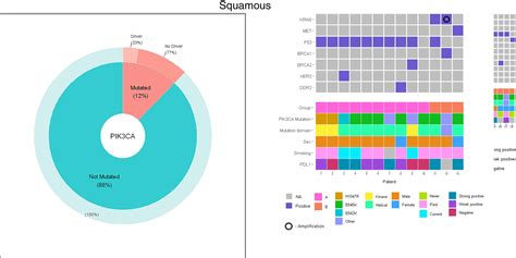 Driver Mutation Characteristics Of Phosphatidylinositol 4 5 Bisphosphate 3 Kinase Catalytic