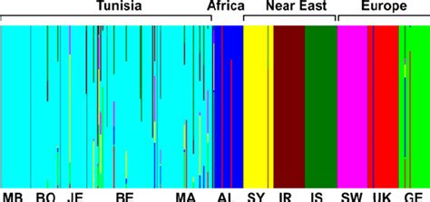groups of individuals assigned based on bayesian genotypic cluster