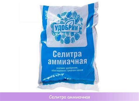 Удобрения для хвойных растений: когда и как вносить, списки, классификации