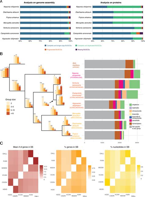 Genomic Features Of Campoletis Sonorensis And Hyposoter Didymator Download Scientific Diagram